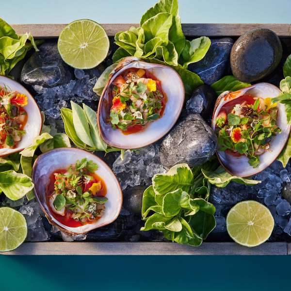 Talay at Montage - Lifestyle in Cabo