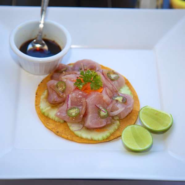 Blue Fish - Lifestyle in Cabo